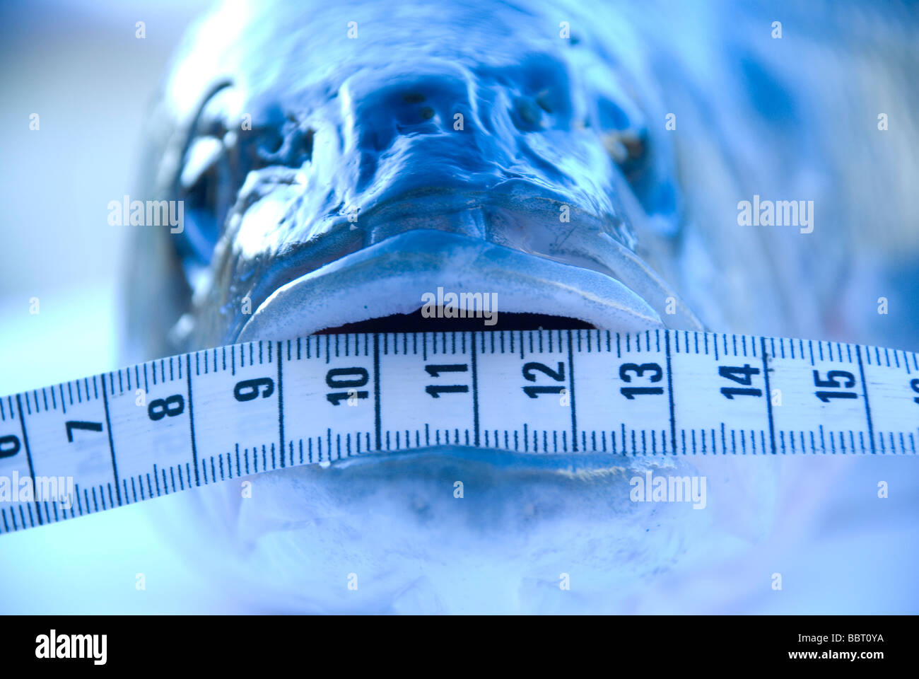Legal size hi-res stock photography and images - Alamy