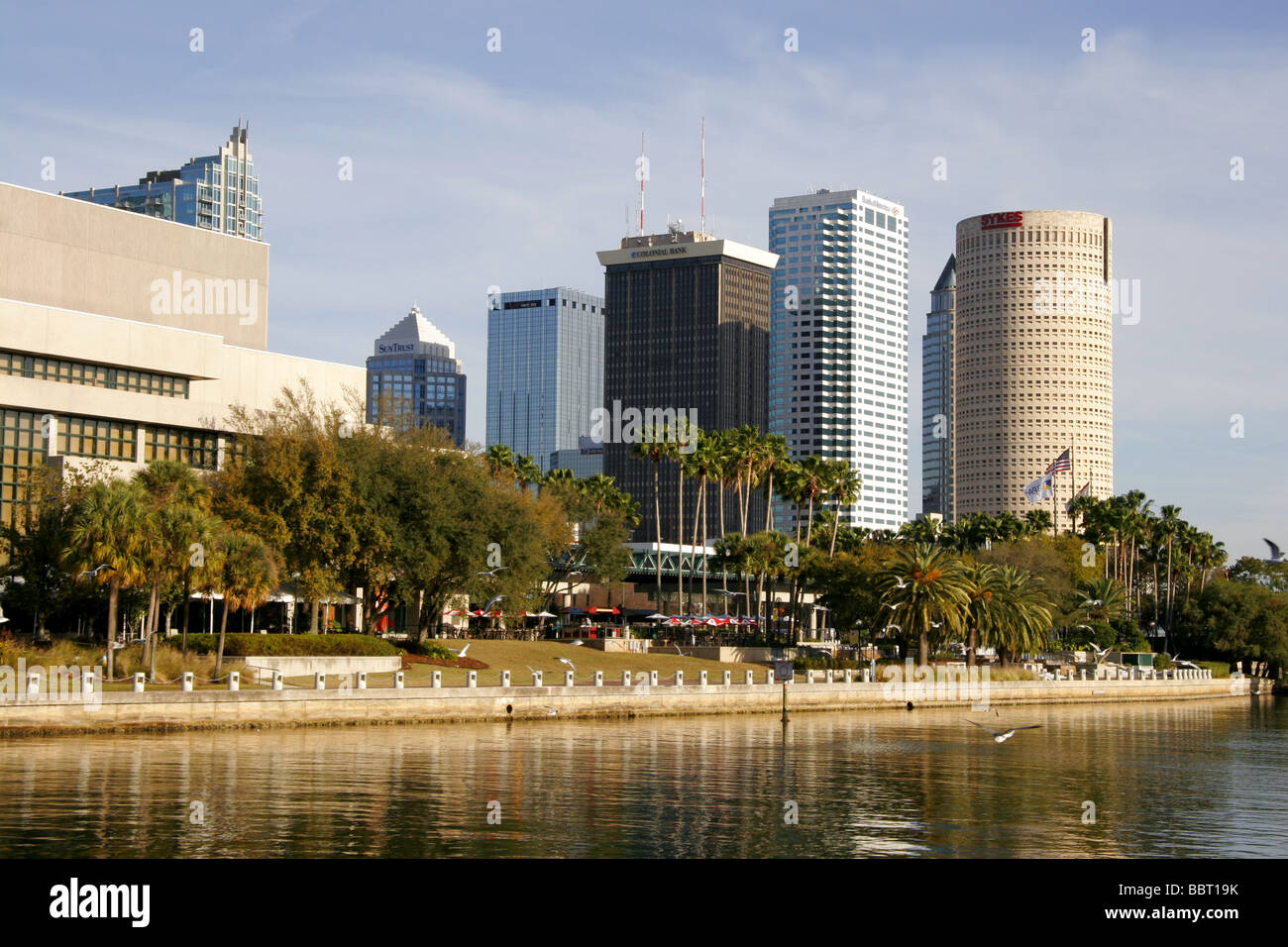 Florida skyline tall buildings hi-res stock photography and images - Alamy
