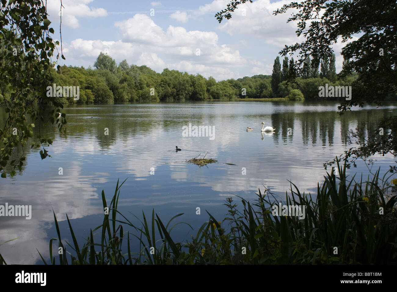 colne valley watersports lake buckinghamshire england uk gb Stock Photo ...