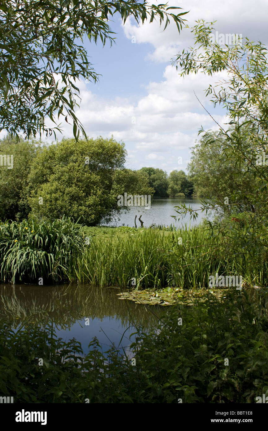 Colne valley nature reserve hi-res stock photography and images - Alamy