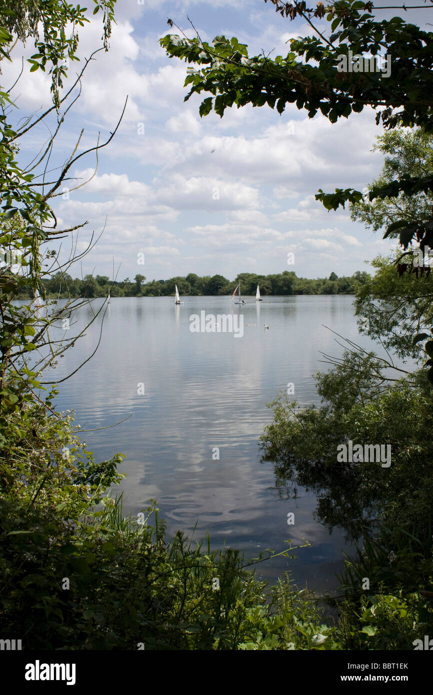 colne valley watersports lake buckinghamshire england uk gb Stock Photo ...
