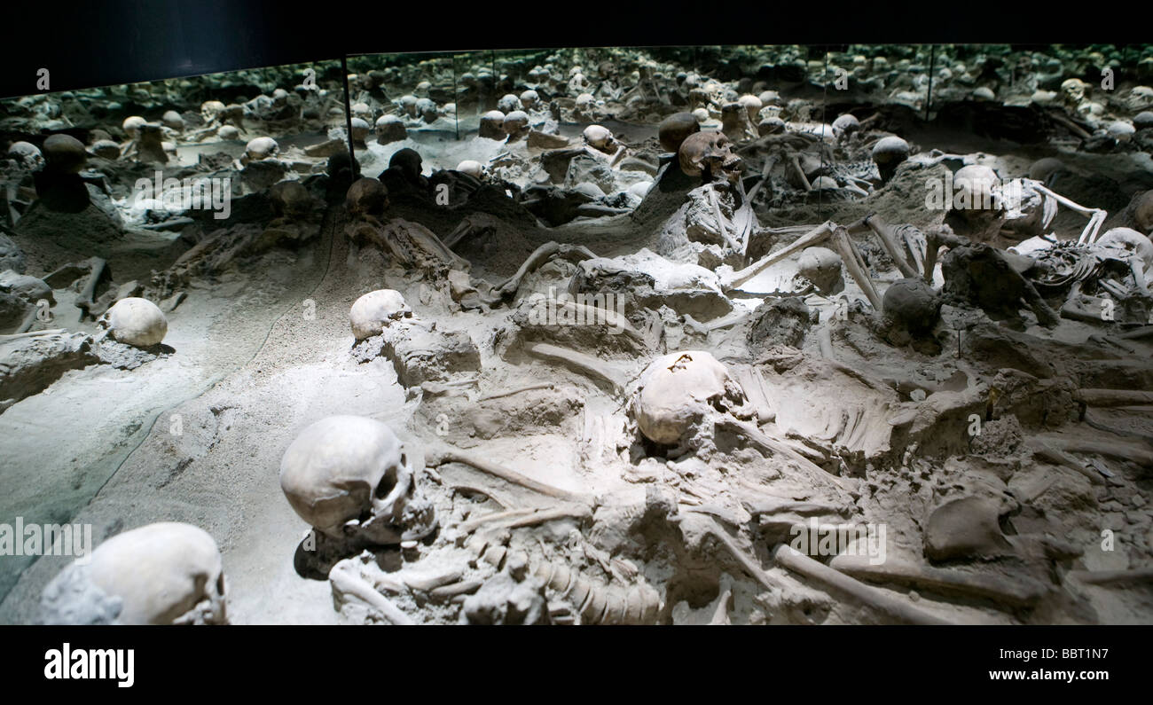 Human victims of the Vesuvius volcano in Herculaneum Stock Photo - Alamy