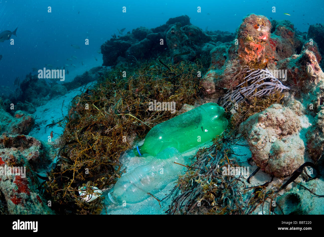 Man made reefs hi-res stock photography and images - Alamy