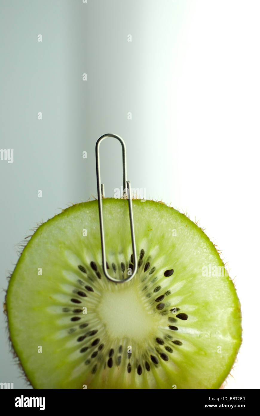 kiwi fruit with a paper clip Stock Photo - Alamy