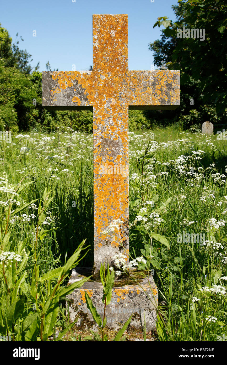 lichen covered stone cross grave headstone in an overgrown graveyard ...