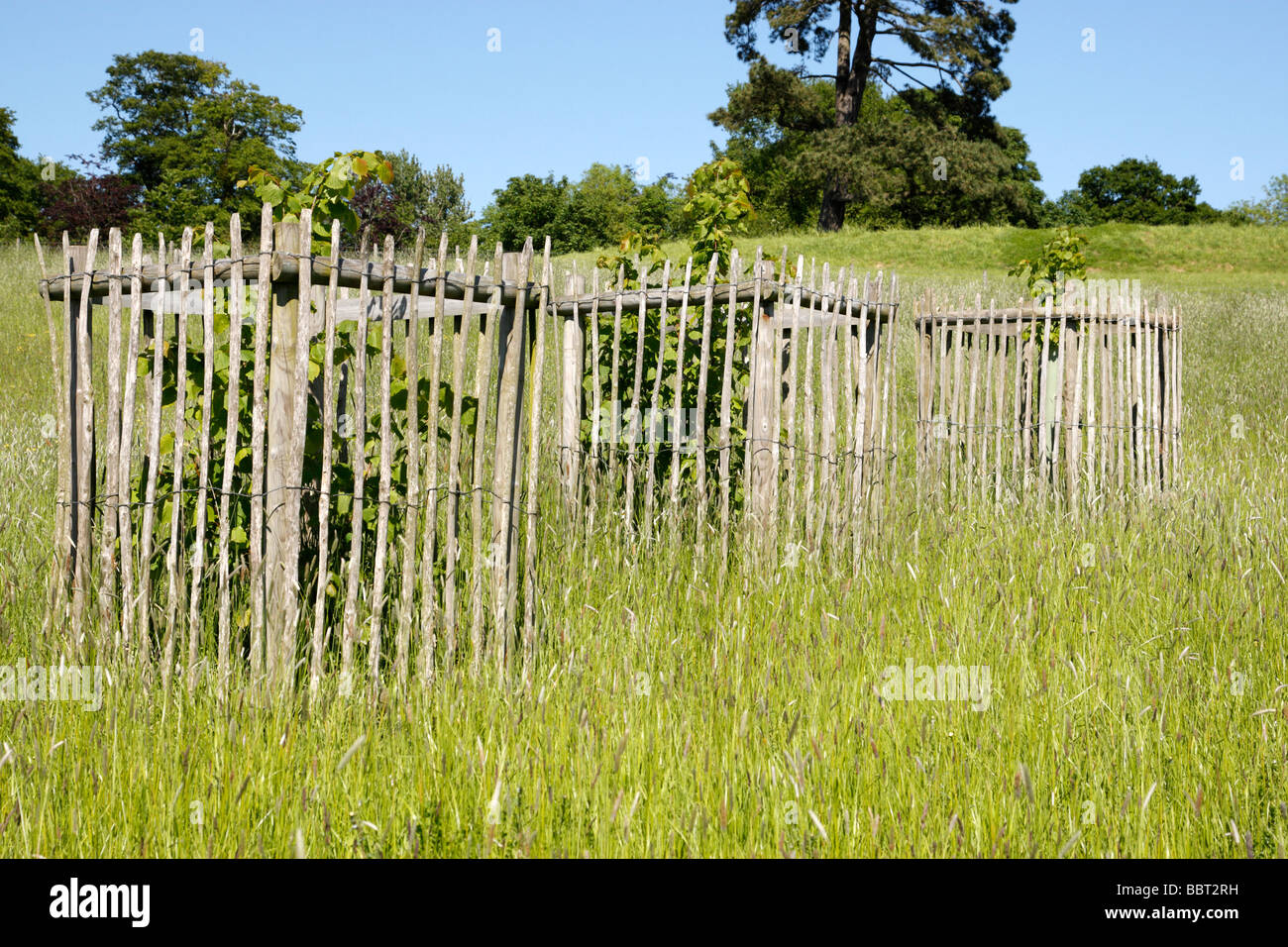 Tree growing around a fence hi-res stock photography and images - Alamy