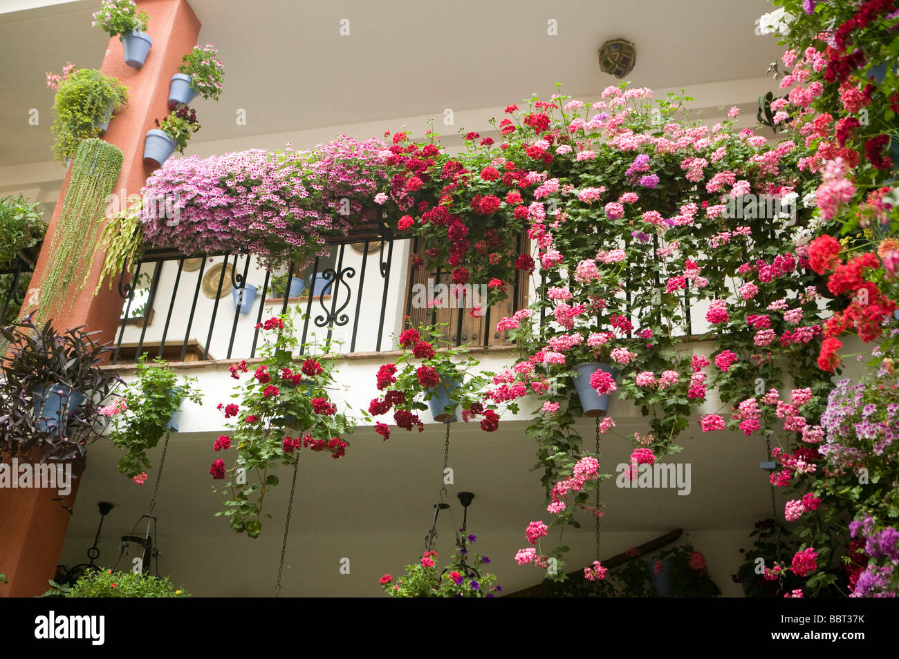 May, Patios, in, Cordoba, bougainvillea, Patio, contest, Andalucian ...