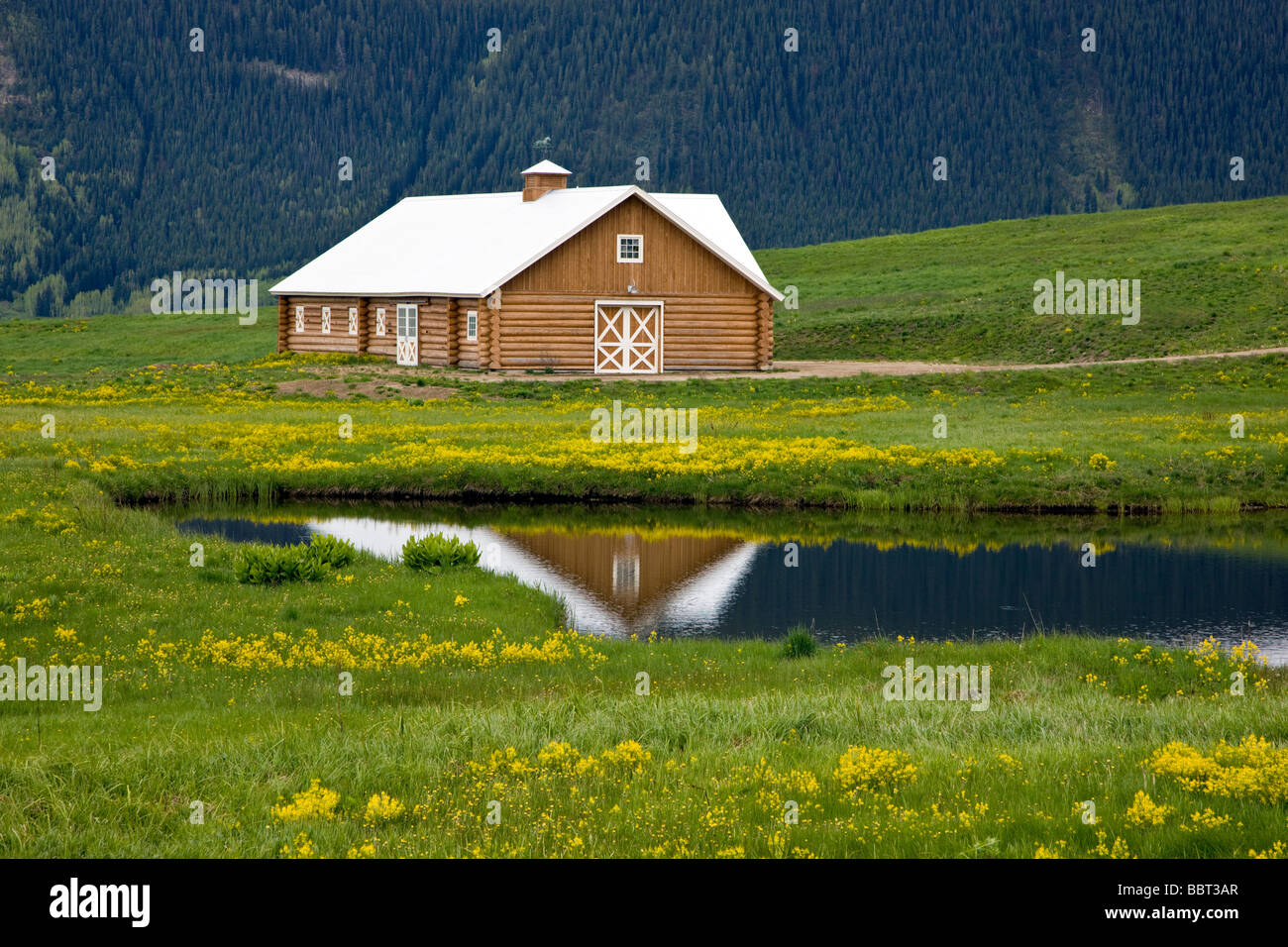 Log horse barn in a pasture full of yellow wildflowers Crested Butte ...