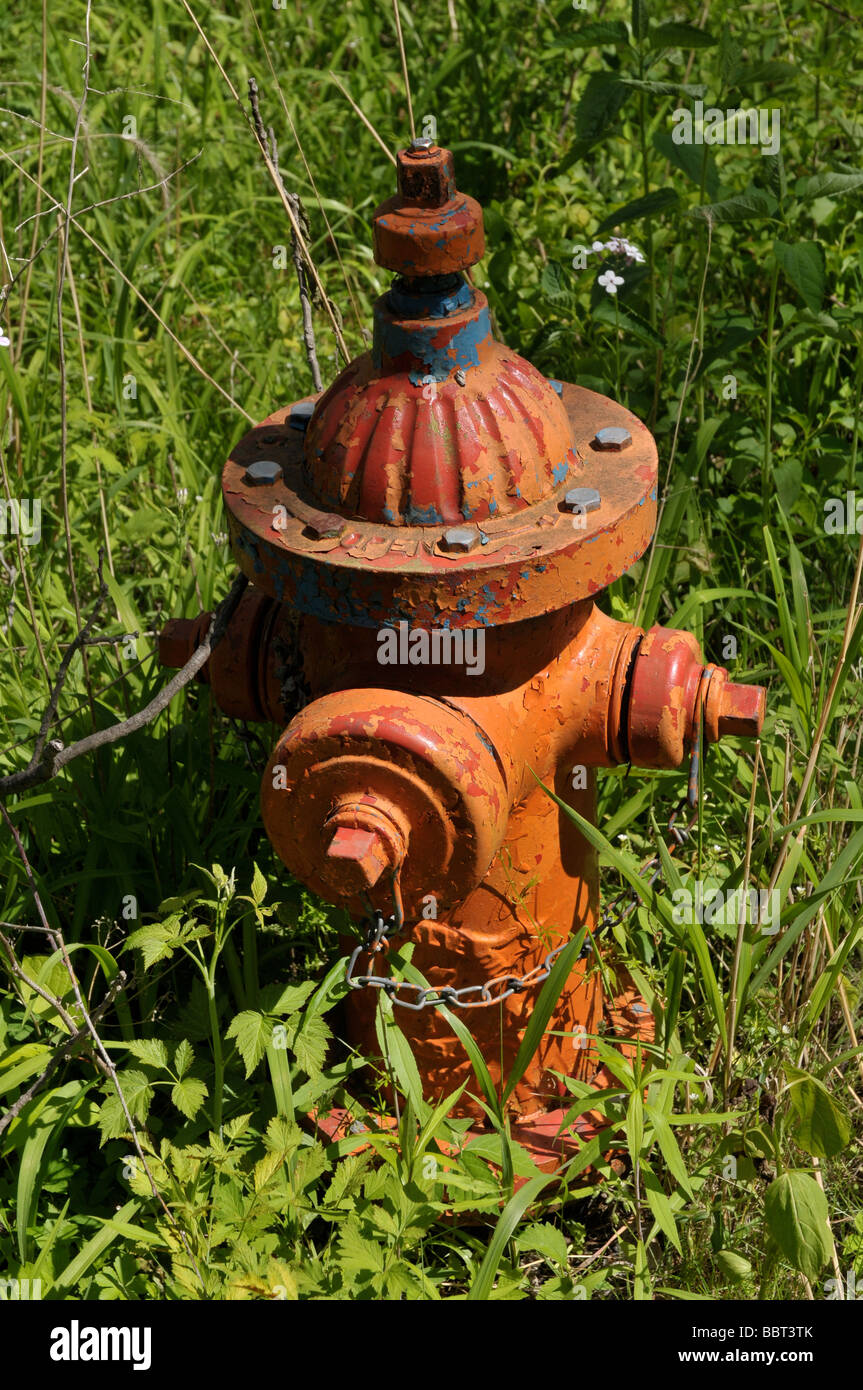 Orange fire hydrant Stock Photo - Alamy
