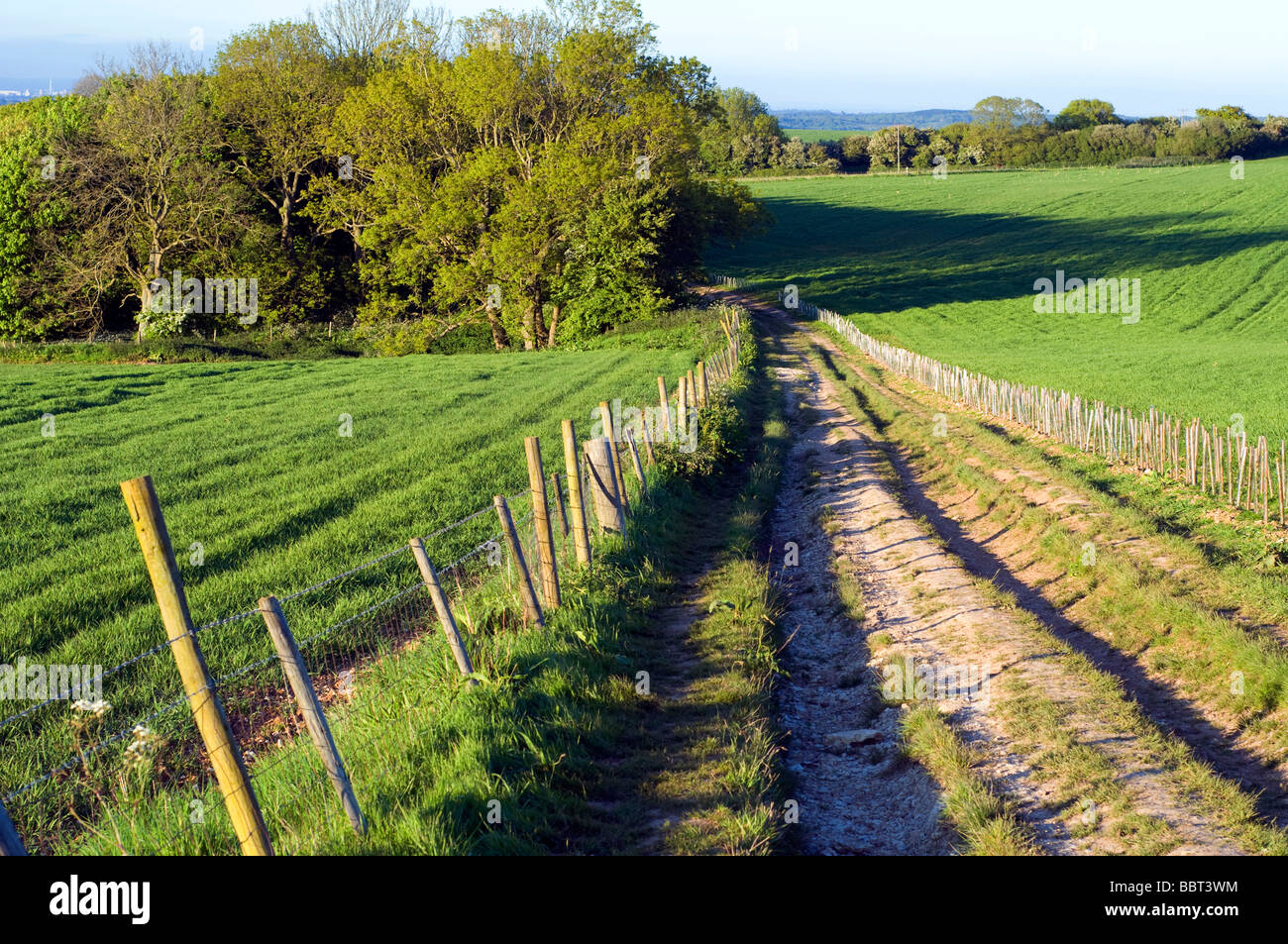 Tennyson Trail, Isle of Wight, England, UK, GB Stock Photo - Alamy