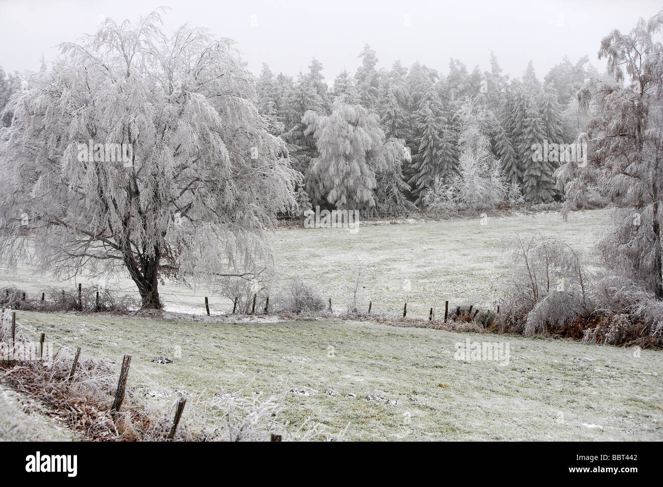 WINTER FROST SCENE CENTRAL FRANCE Stock Photo - Alamy