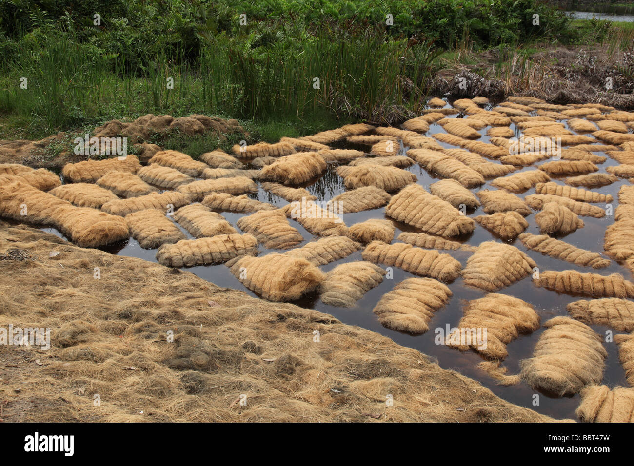 Alleppey coir hi-res stock photography and images - Alamy