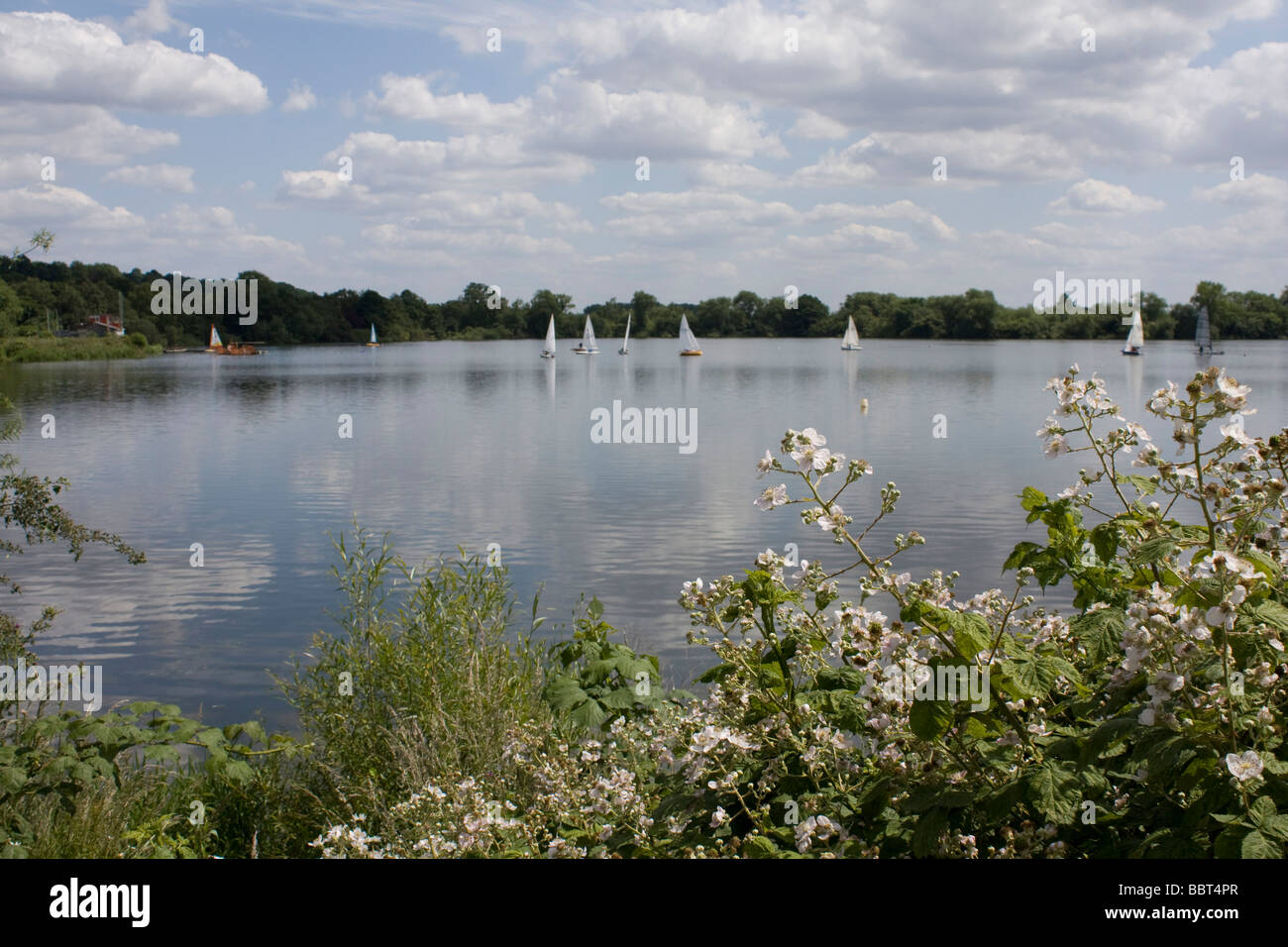 colne valley watersports lake buckinghamshire england uk gb Stock Photo ...