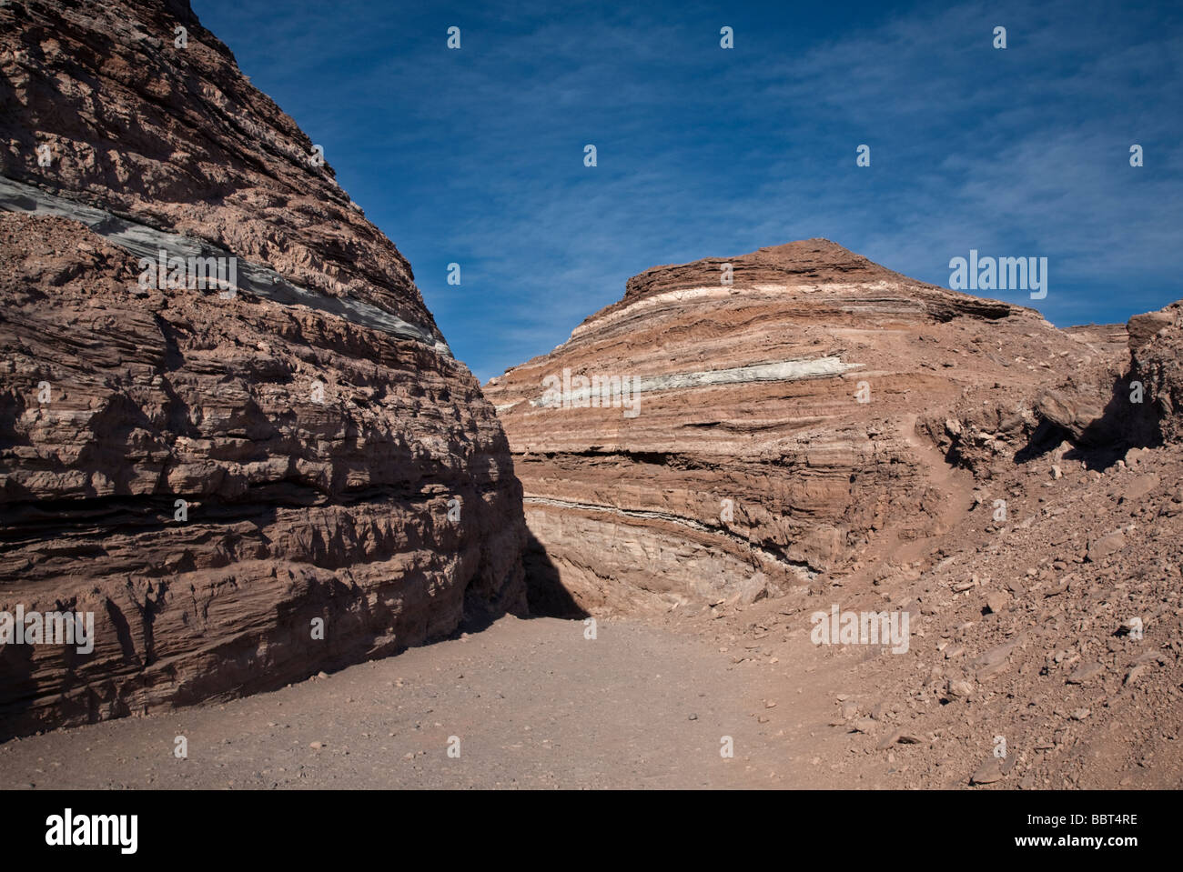 Desert dinosaurs hi-res stock photography and images - Alamy