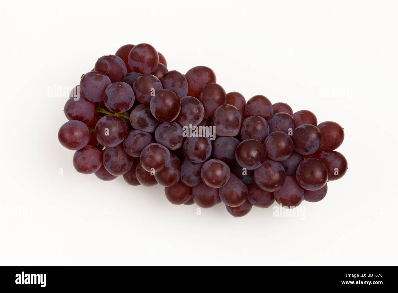 Bunch of black muscatel grapes Stock Photo - Alamy