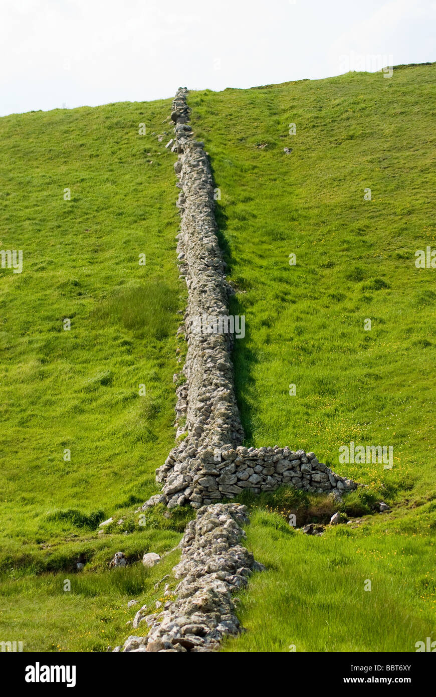 A dry stone wall rises over a hill near Mullaghmore, County Donegal ...