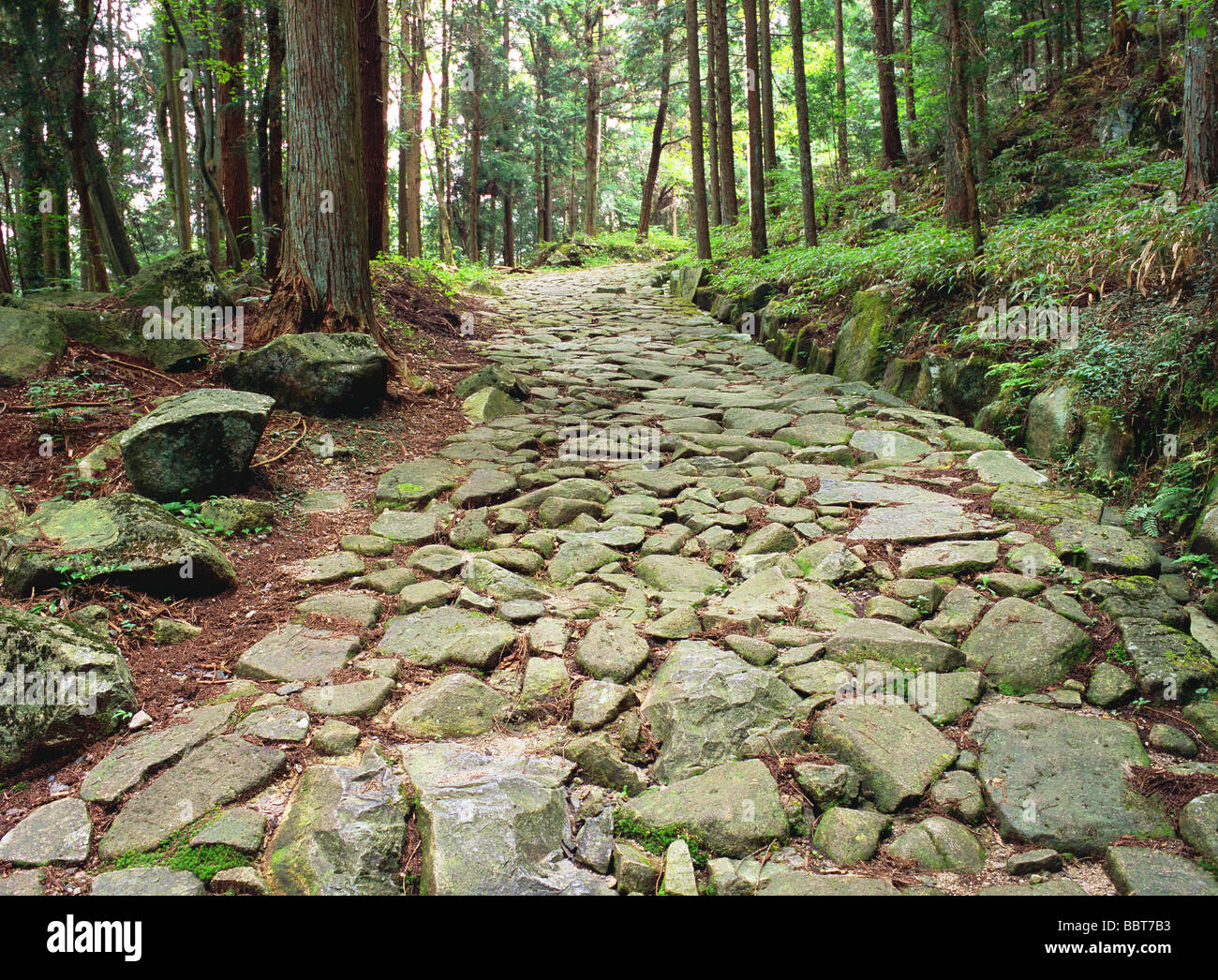 Stone pathway passing from forest Stock Photo - Alamy