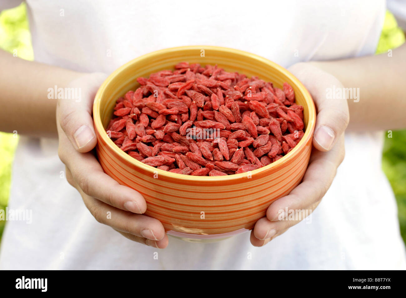 Goji dried berries Lycium barbarum Stock Photo - Alamy