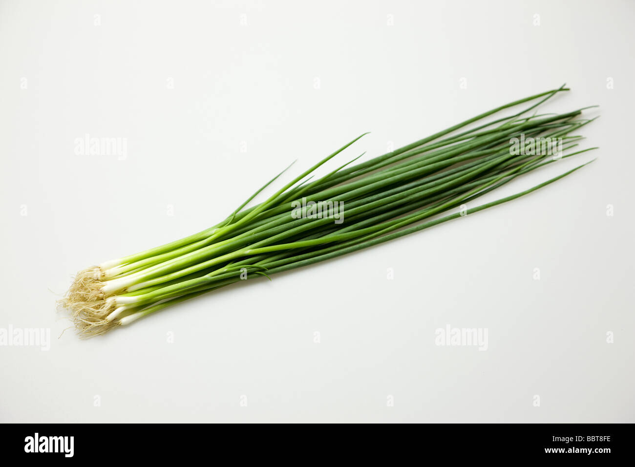 Spring onions on white background Stock Photo - Alamy