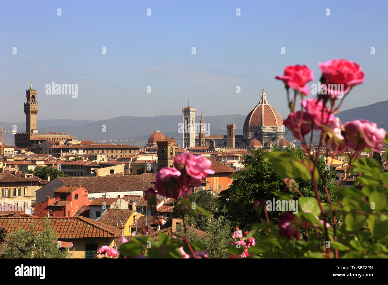 Rose garden florence hi-res stock photography and images - Alamy