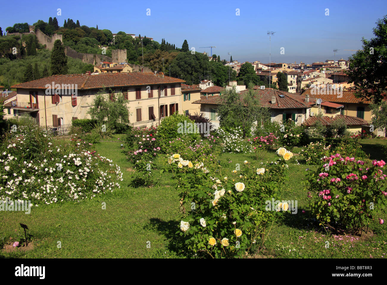 Rose garden, Florence,Tuscany,Italy Stock Photo - Alamy