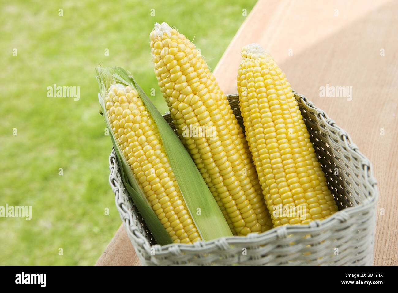 Corn cobs in a basket Stock Photo - Alamy