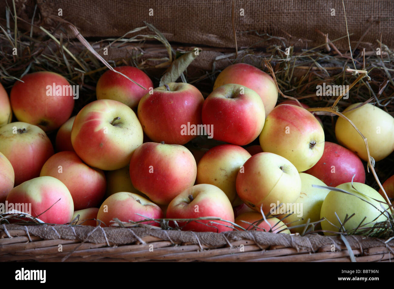 Casez hi-res stock photography and images - Alamy