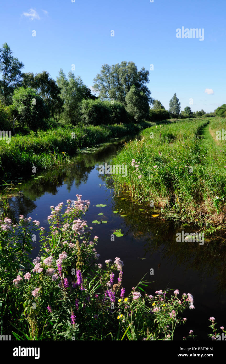 Uk landscape fens fenland hi-res stock photography and images - Alamy