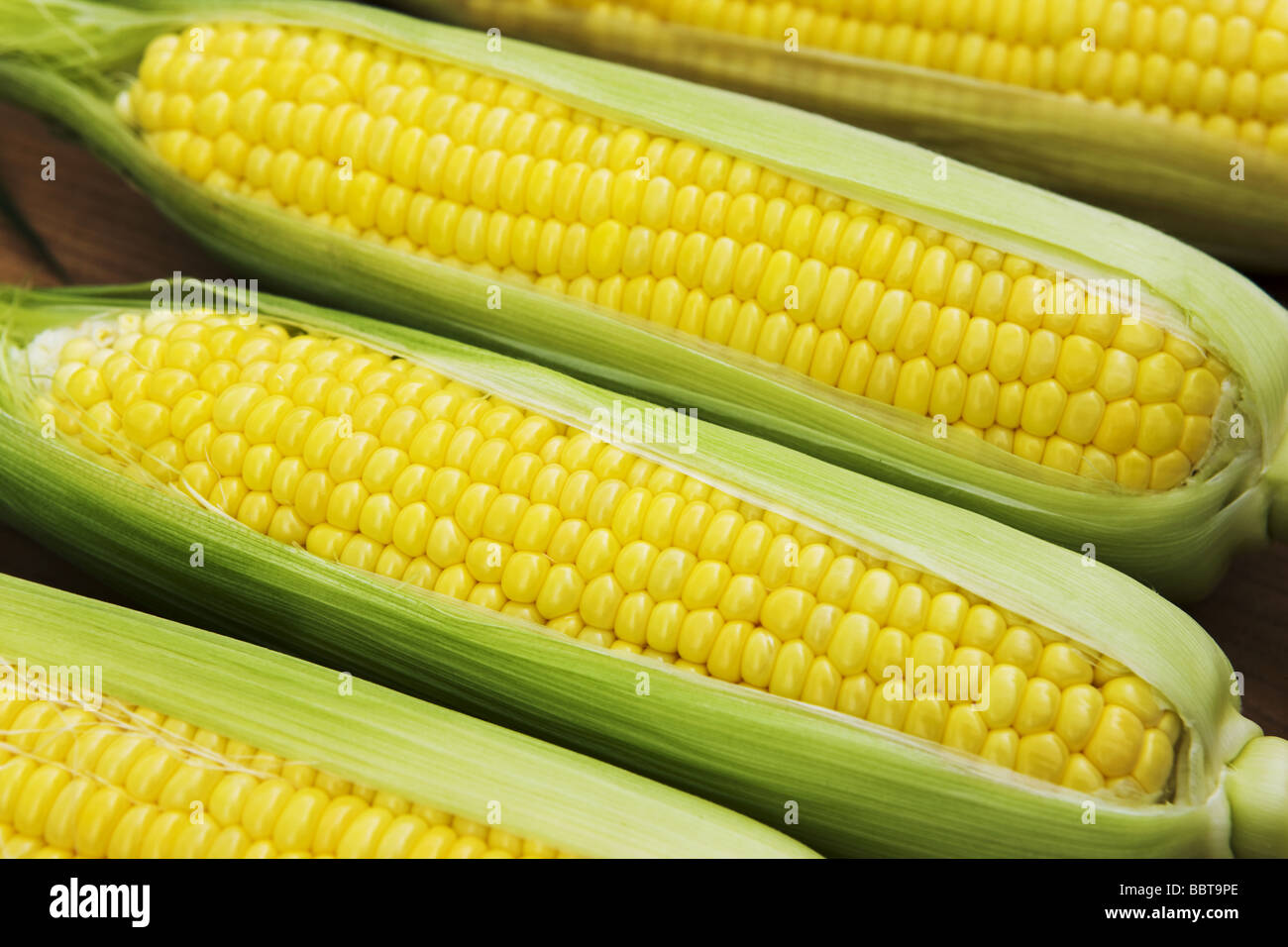 Ear of corn and kernels Stock Photo - Alamy