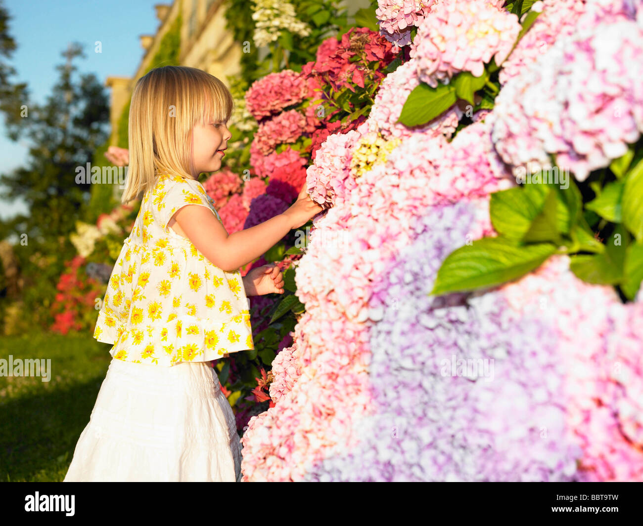 Girl looking at flowers Stock Photo - Alamy