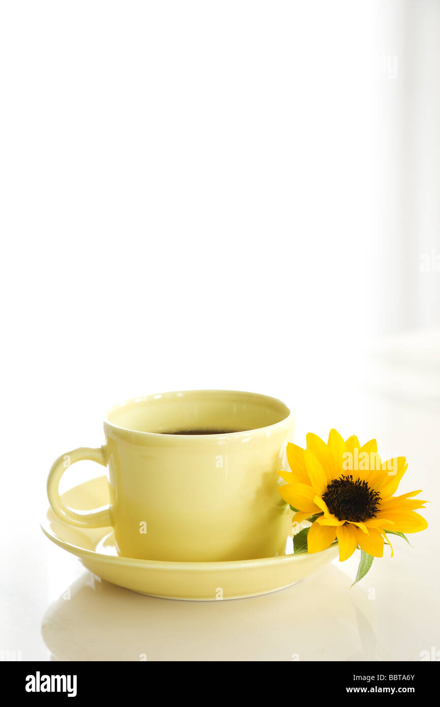 Cup of herbal tea with sunflower Stock Photo - Alamy