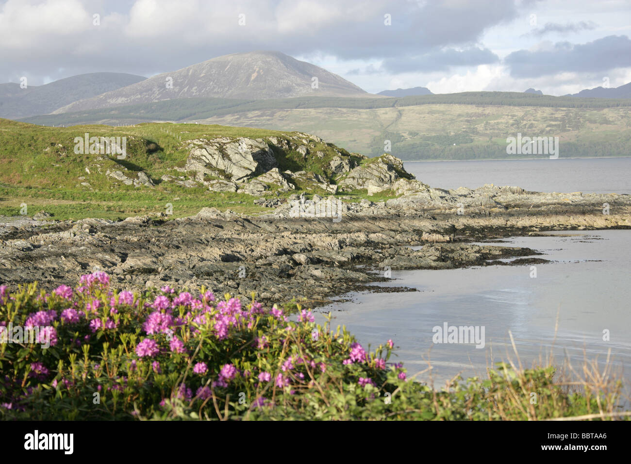 Carradale hi-res stock photography and images - Alamy