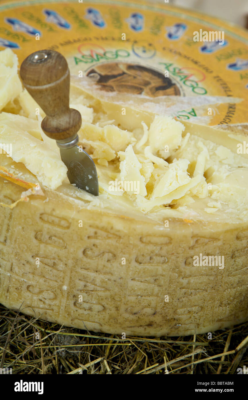 Grana cheese, Trentino Alto Adige, Italy Stock Photo - Alamy