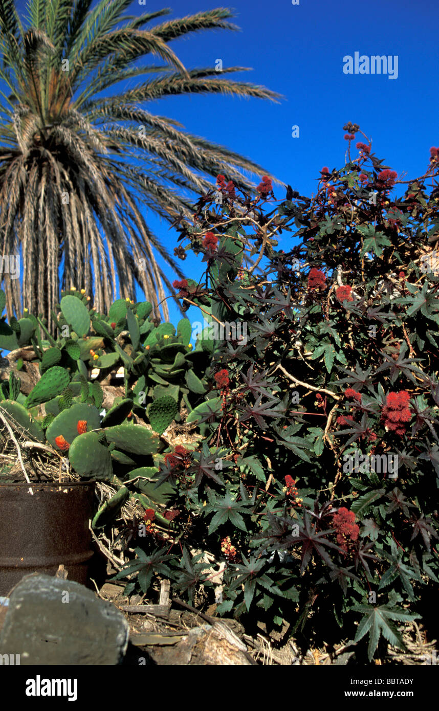 Linosa Pelagie Island High Resolution Stock Photography and Images - Alamy
