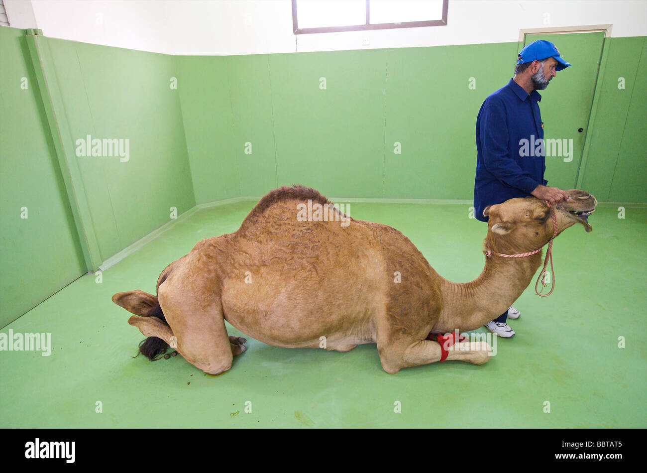 Clinic medical treatment arabic hi-res stock photography and images - Alamy