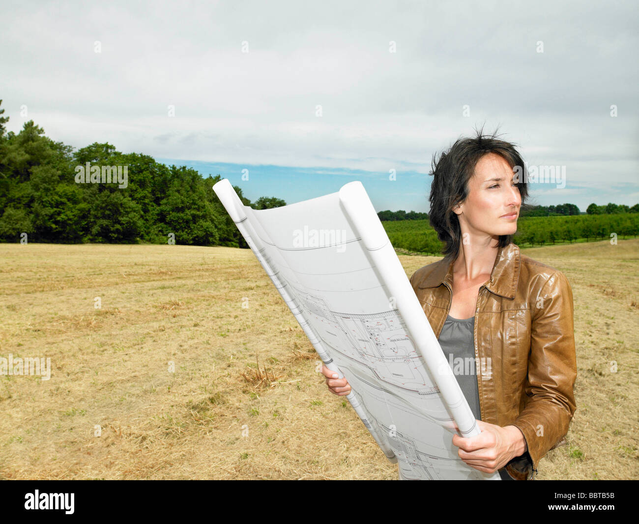 Architect in a field Stock Photo - Alamy
