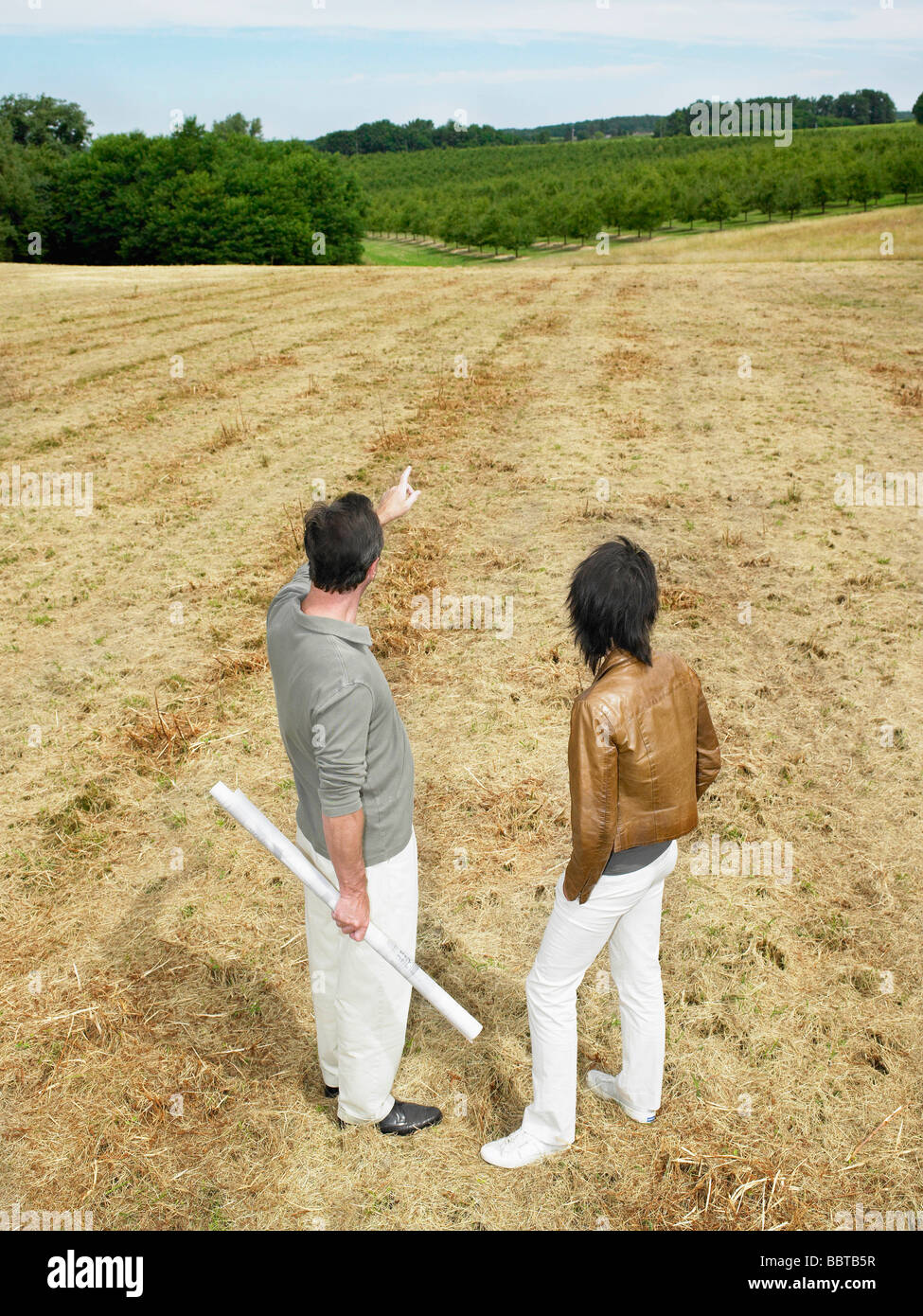 Architects discussing in a field Stock Photo - Alamy