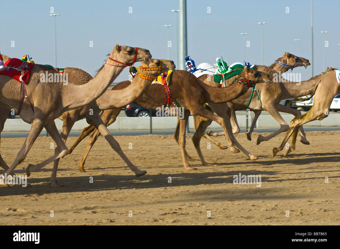 Dubai racetrack hi-res stock photography and images - Alamy
