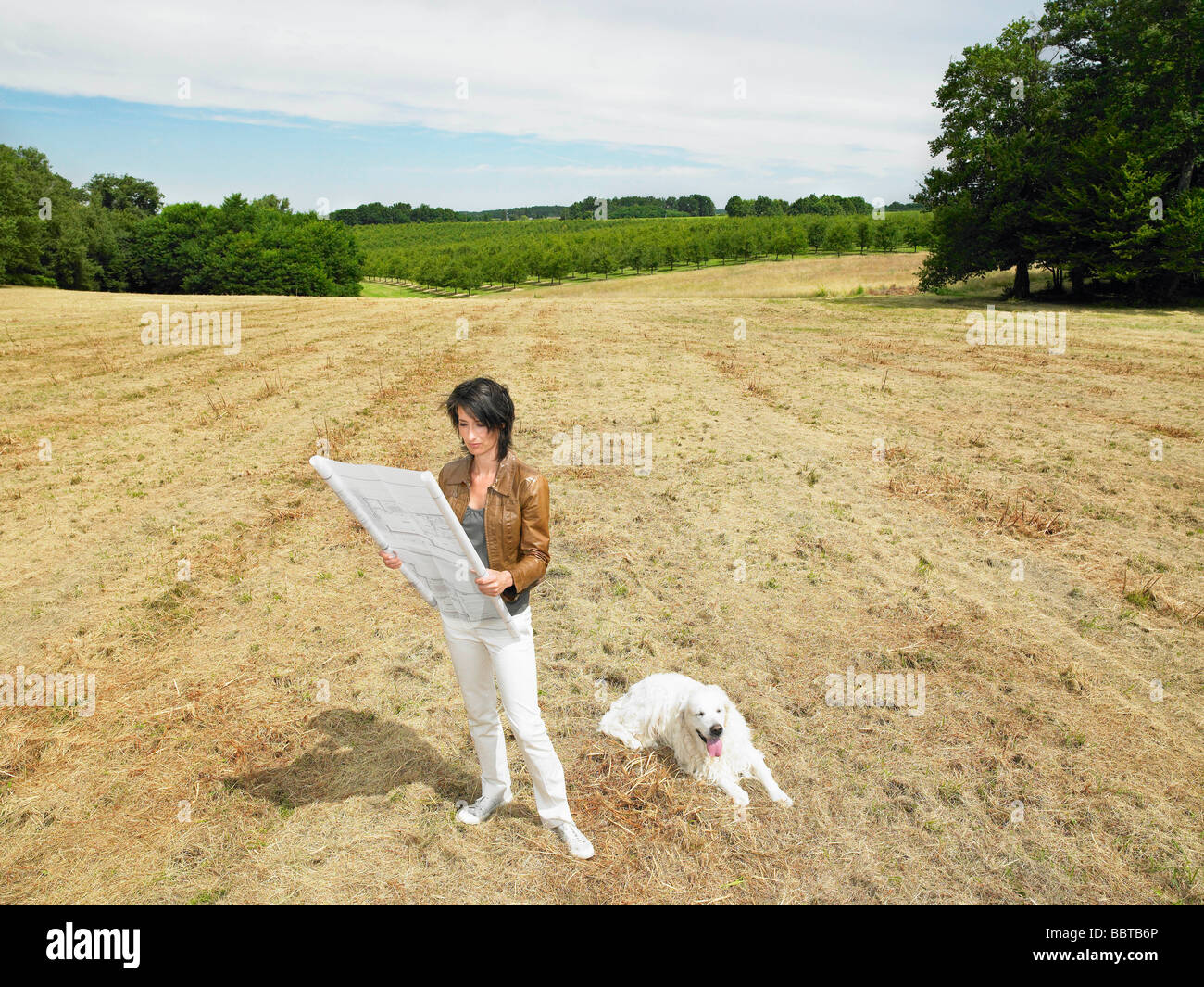 Architect in a field Stock Photo - Alamy