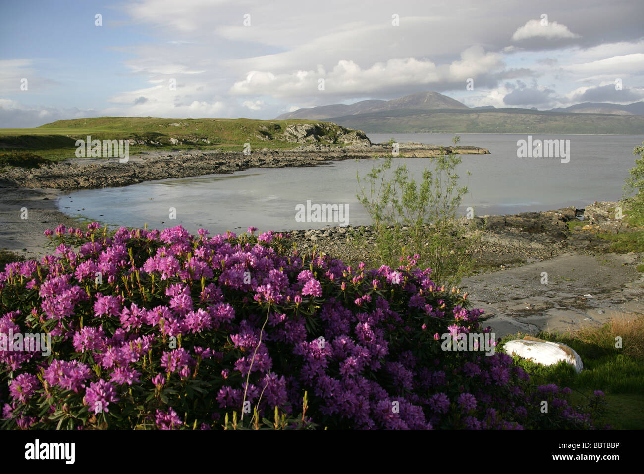 Carradale beach hi-res stock photography and images - Alamy