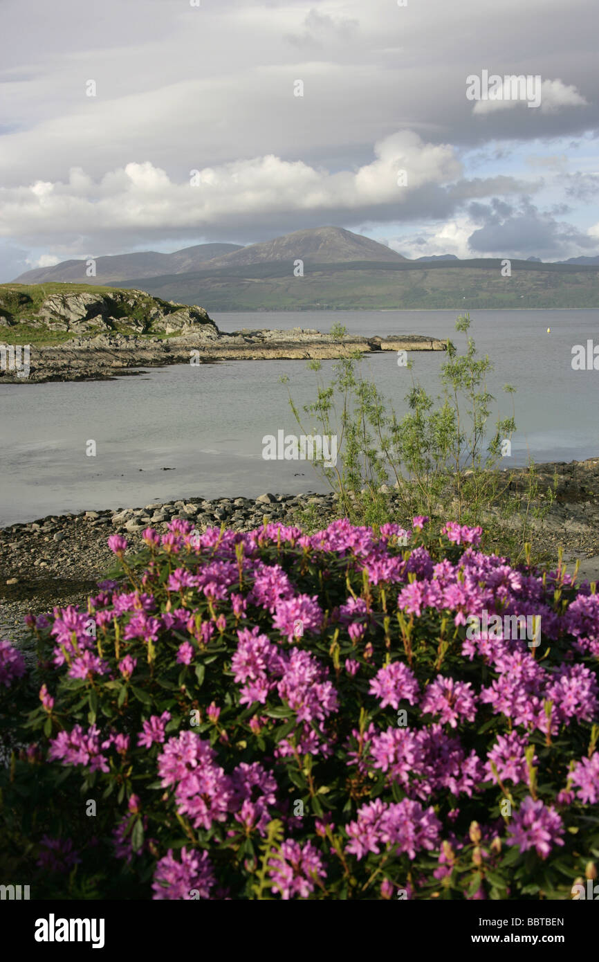 Carradale hi-res stock photography and images - Alamy