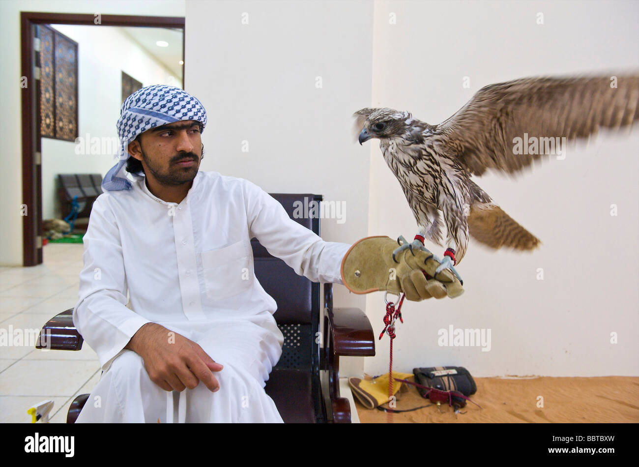 Hunting bird dubai uae hi-res stock photography and images - Alamy