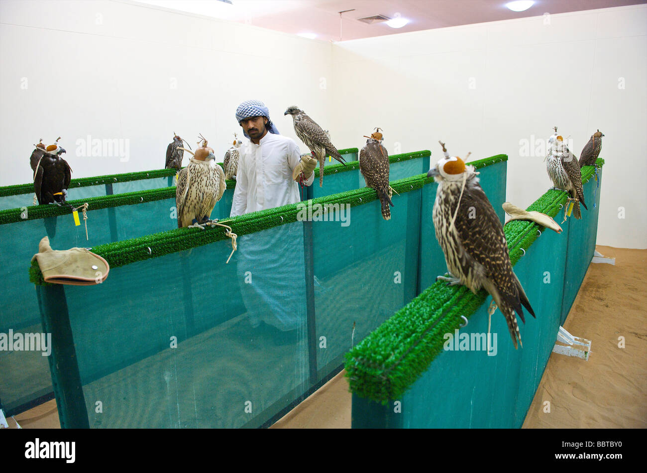 Asian bird hi-res stock photography and images - Alamy