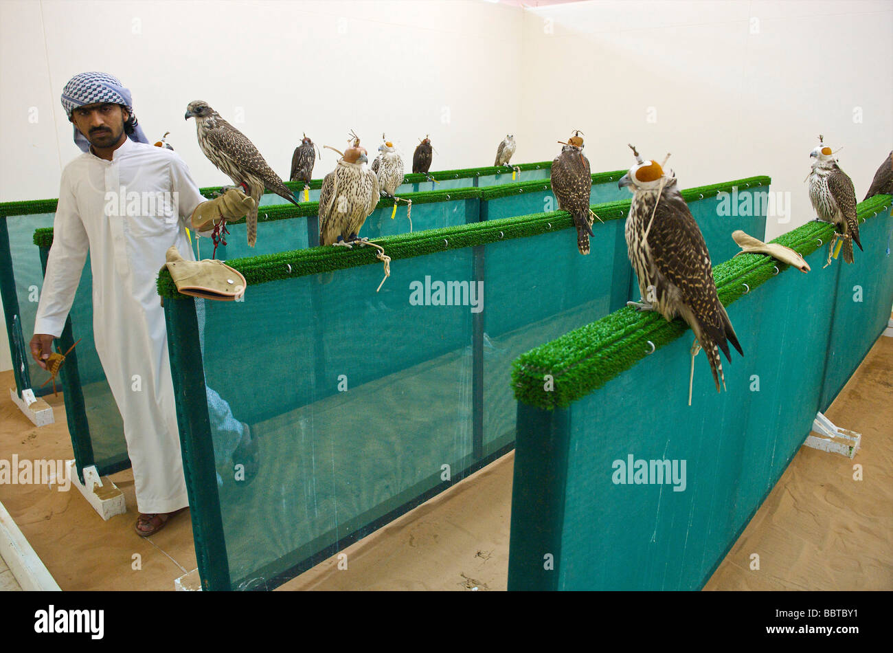 Asian bird hi-res stock photography and images - Alamy