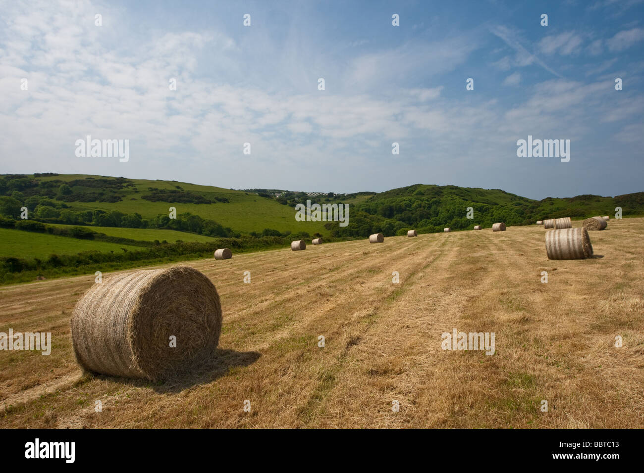 Field of baled hay hi-res stock photography and images - Alamy