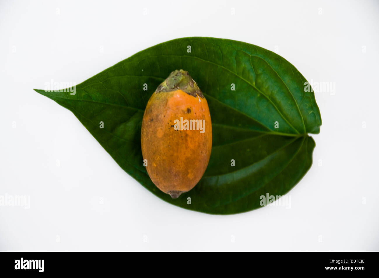 Betel leaf and Areca nut Stock Photo - Alamy
