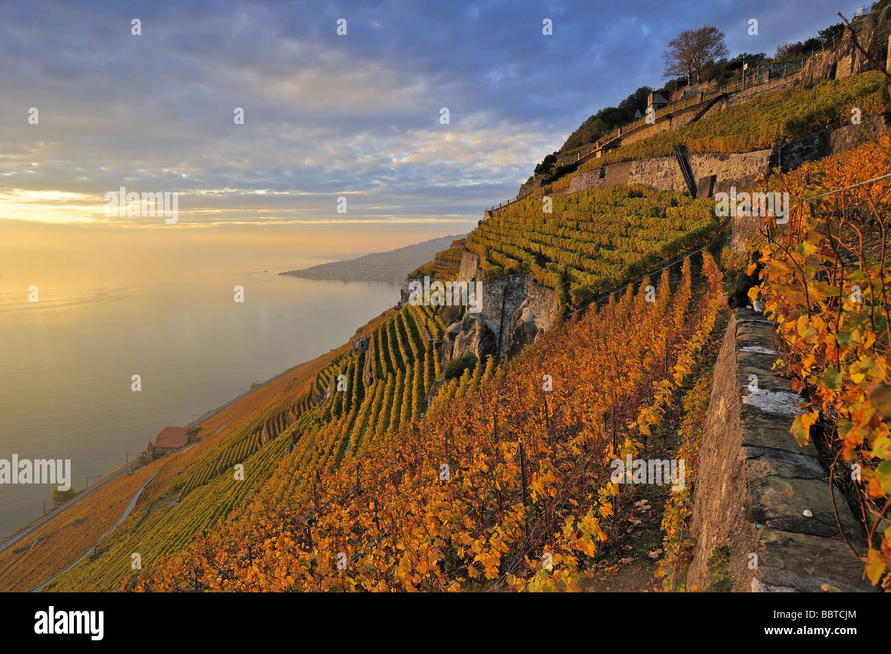 Hillside view of lake geneva hi-res stock photography and images - Alamy