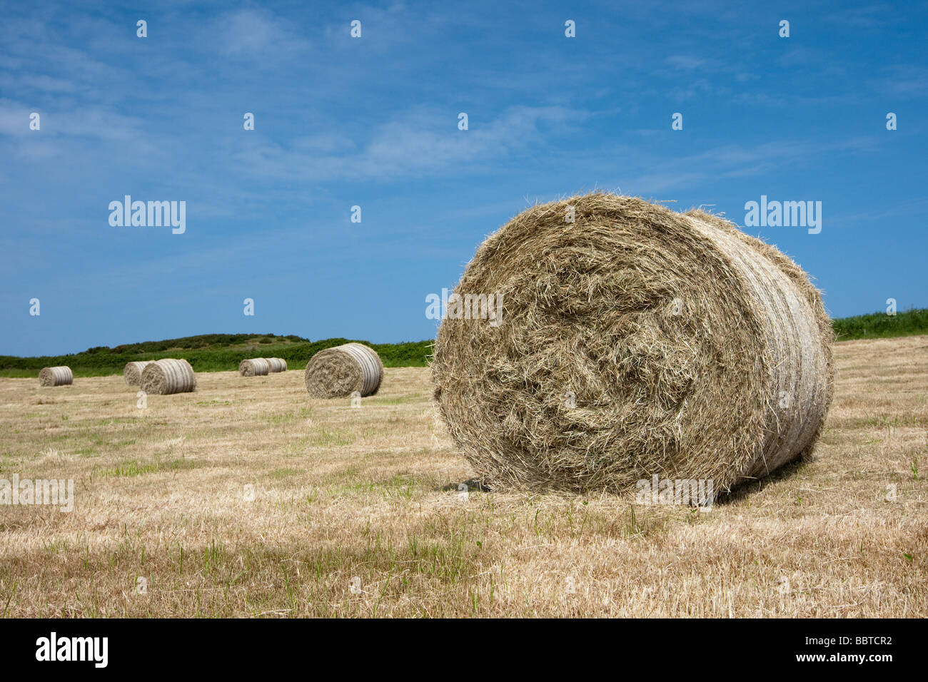 Field of baled hay hi-res stock photography and images - Alamy