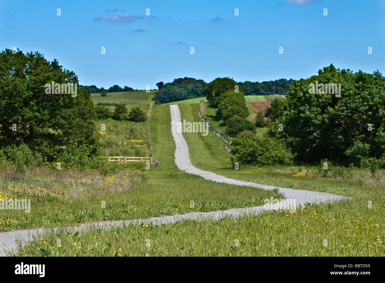 A picture of a winding path in the countryside leading up a hill. It ...