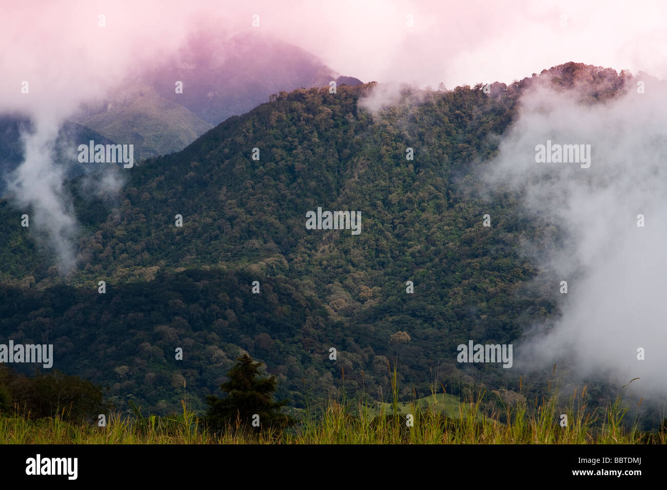 Panama mountain rainforest Volcano Baru national park Stock Photo - Alamy